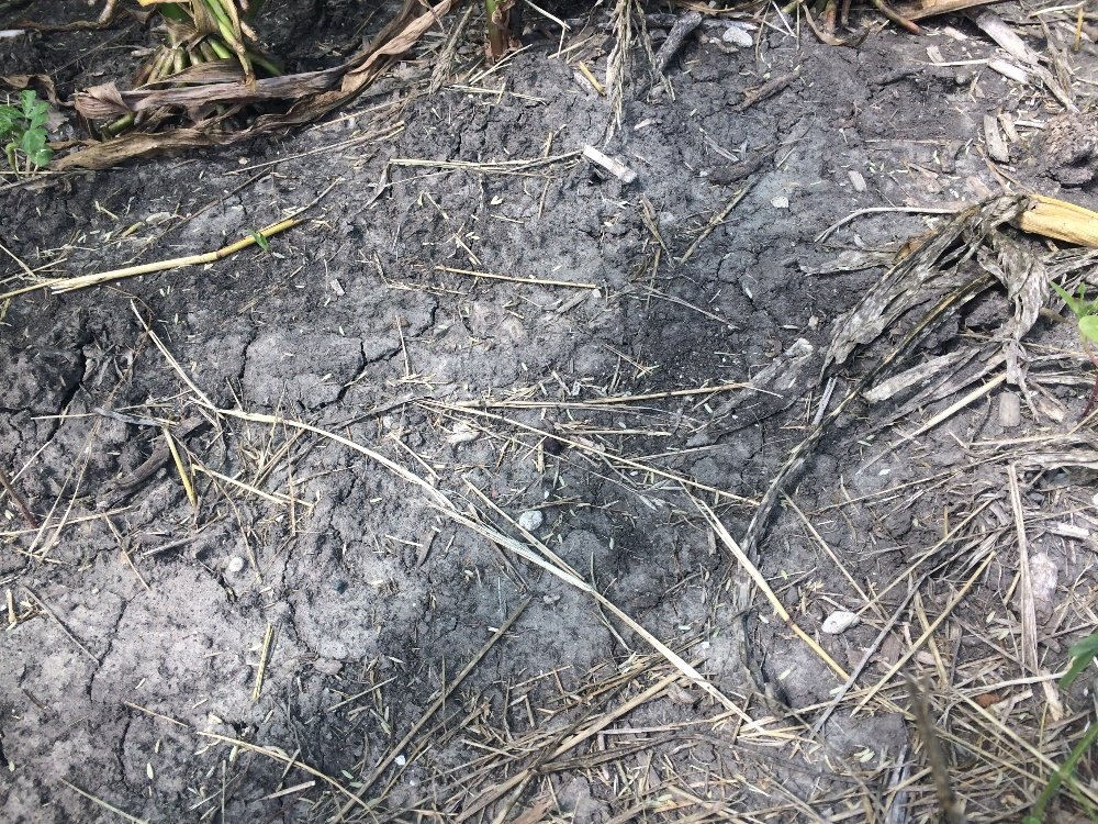 What Picking Rocks Taught a Young Farmer About Entrepreneurship | FBN