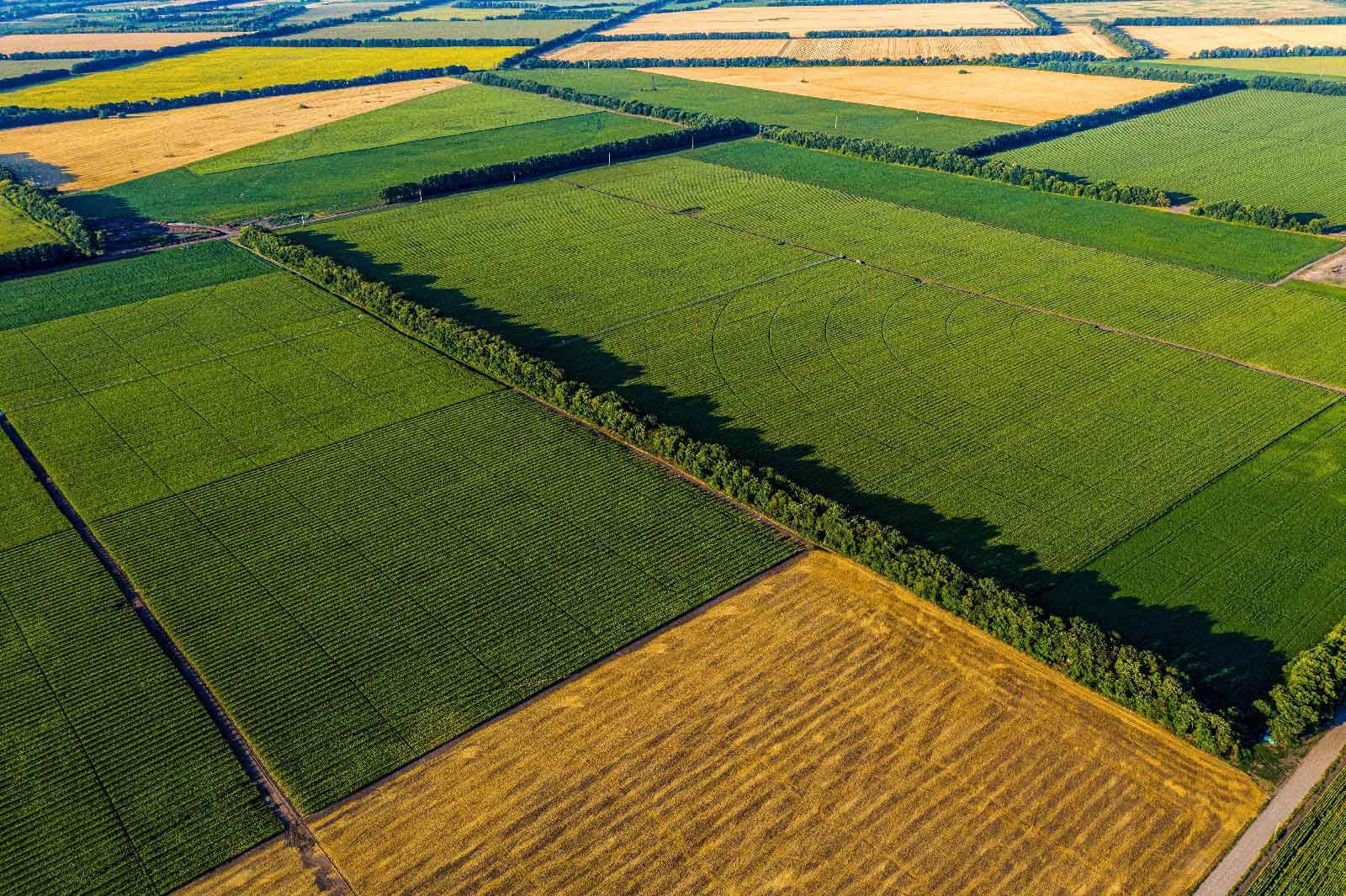 Will Farmland Values Continue to Climb into 2023? | FBN