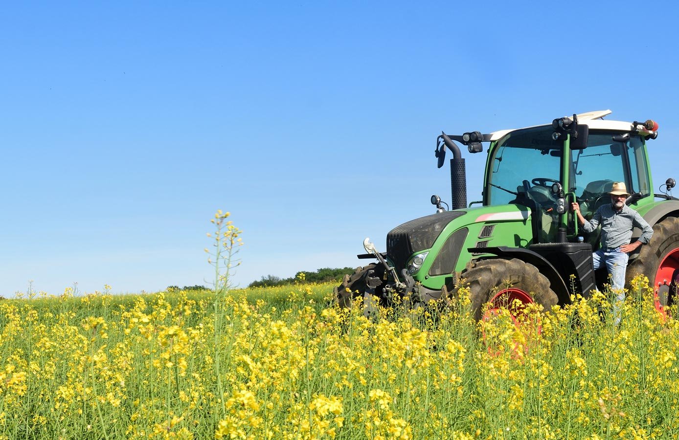 Choosing Between Yield Protection or Revenue Protection with Your Crop ...