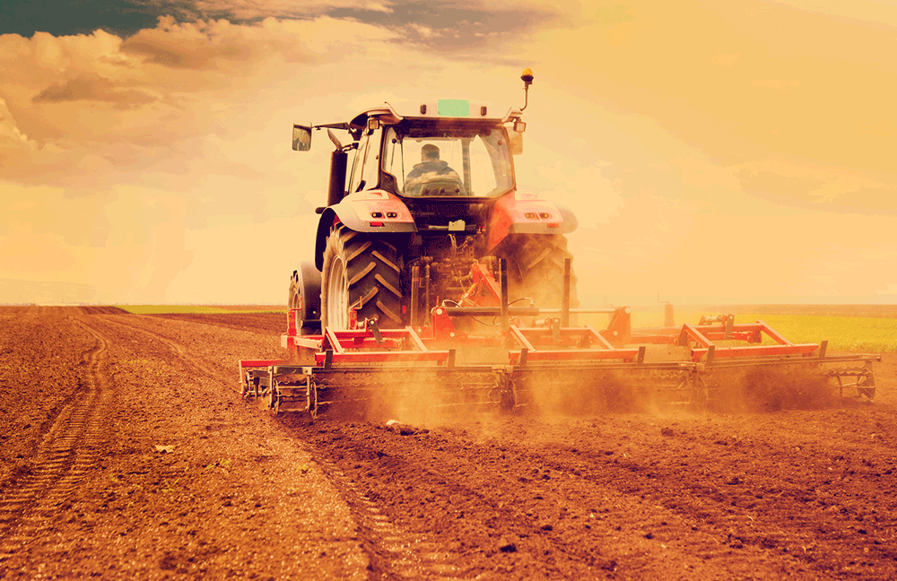 No-Till, Reduced and Conventional Tillage: A Cheat Sheet for Farmers | FBN