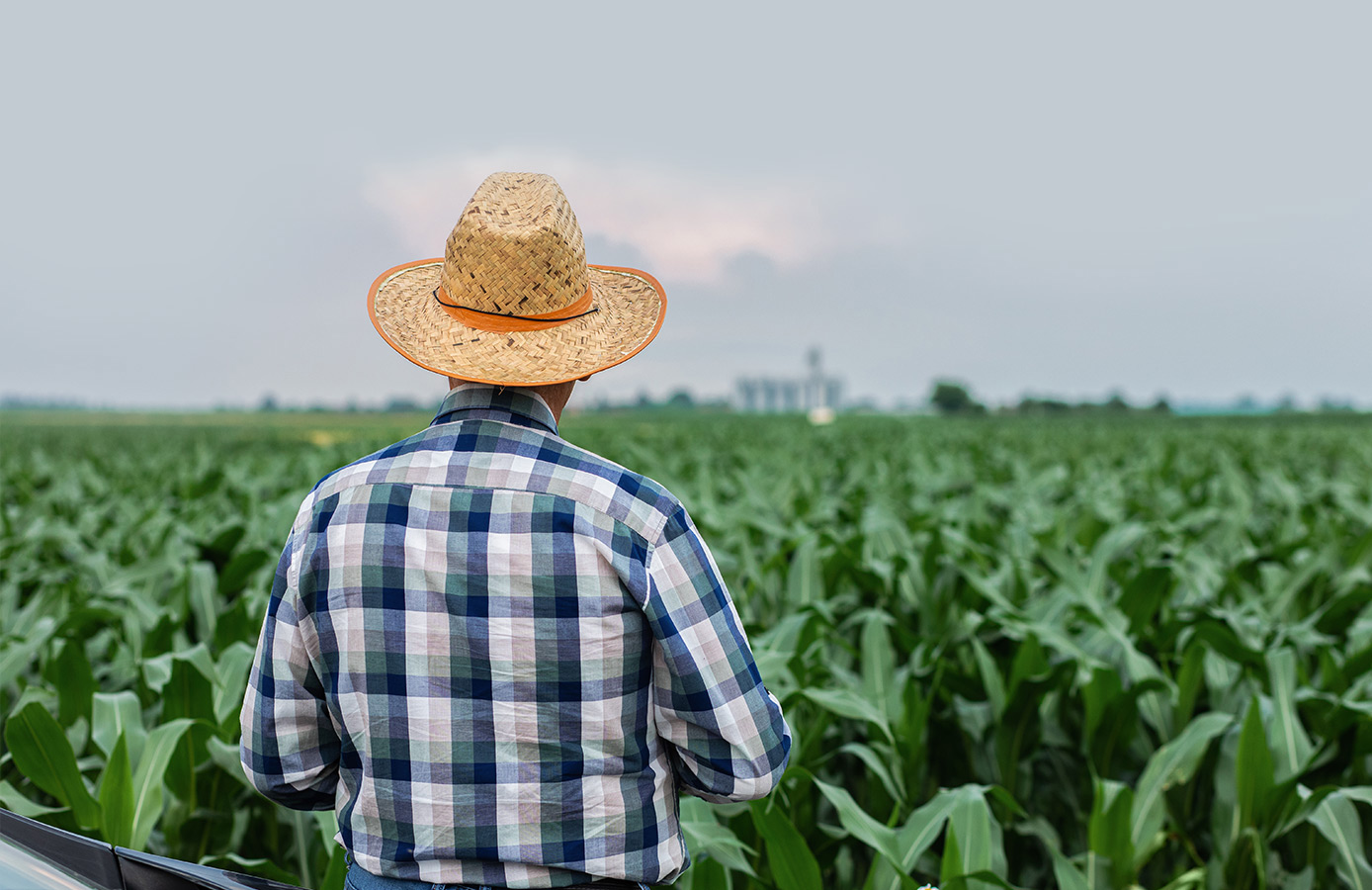 Skin Cancer Affects 1 in 5 Americans. Here’s How Farmers Can Protect ...