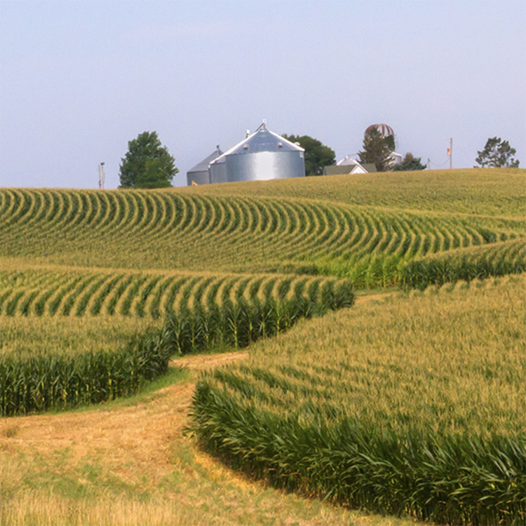 Interested in Joining Our Team? | FBN