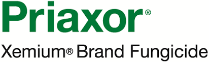 Priaxor® Xemium® brand fungicide | FBN