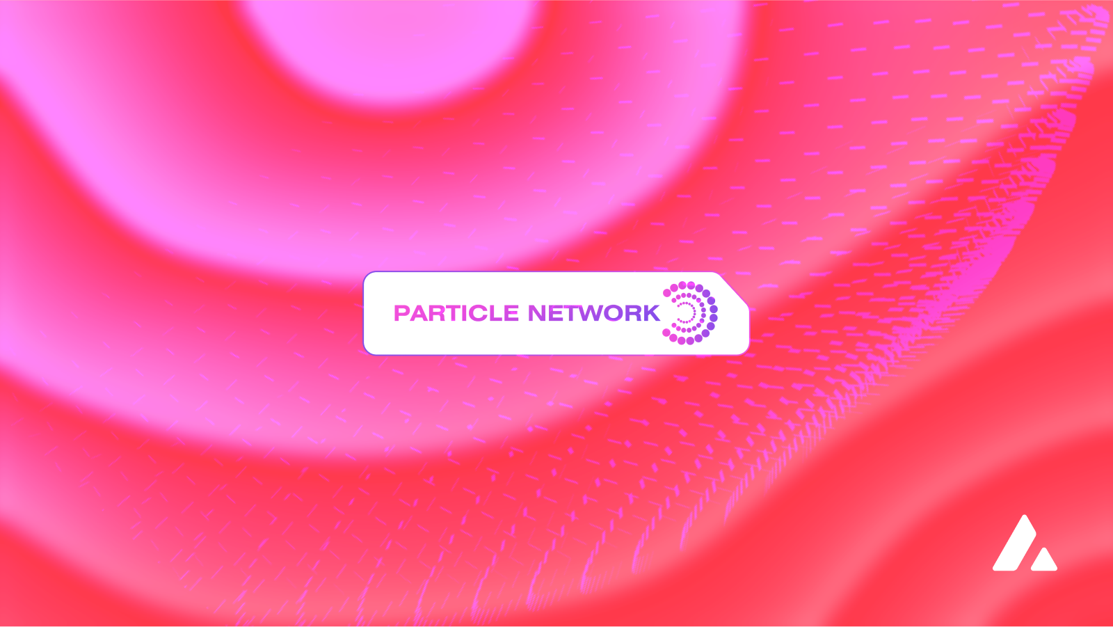 Particle Network Brings the Particle Chain to Avalanche | Avax.network