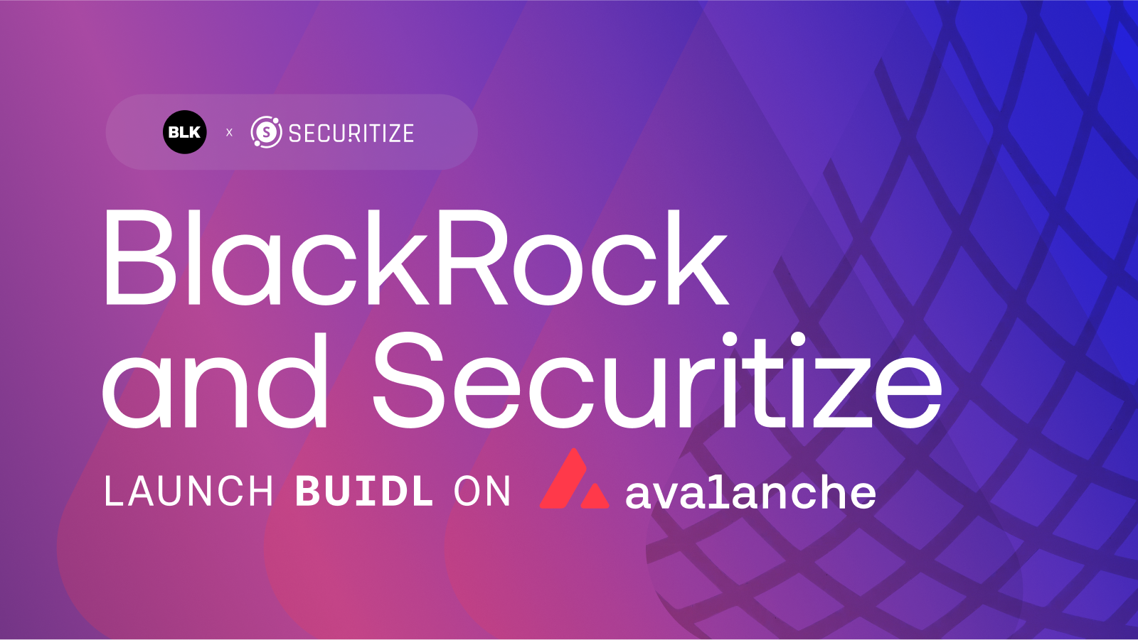 BlackRock Launches Digital Liquidity Fund BUIDL on Avalanche via Securitize | Avax.network