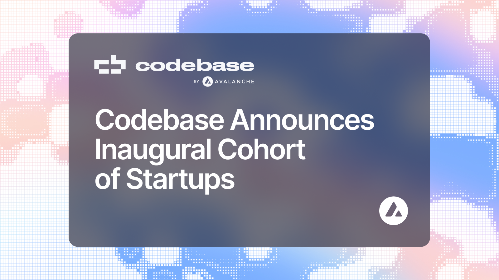 Startup Incubator Codebase by Avalanche® Names First Cohort | Avax.network