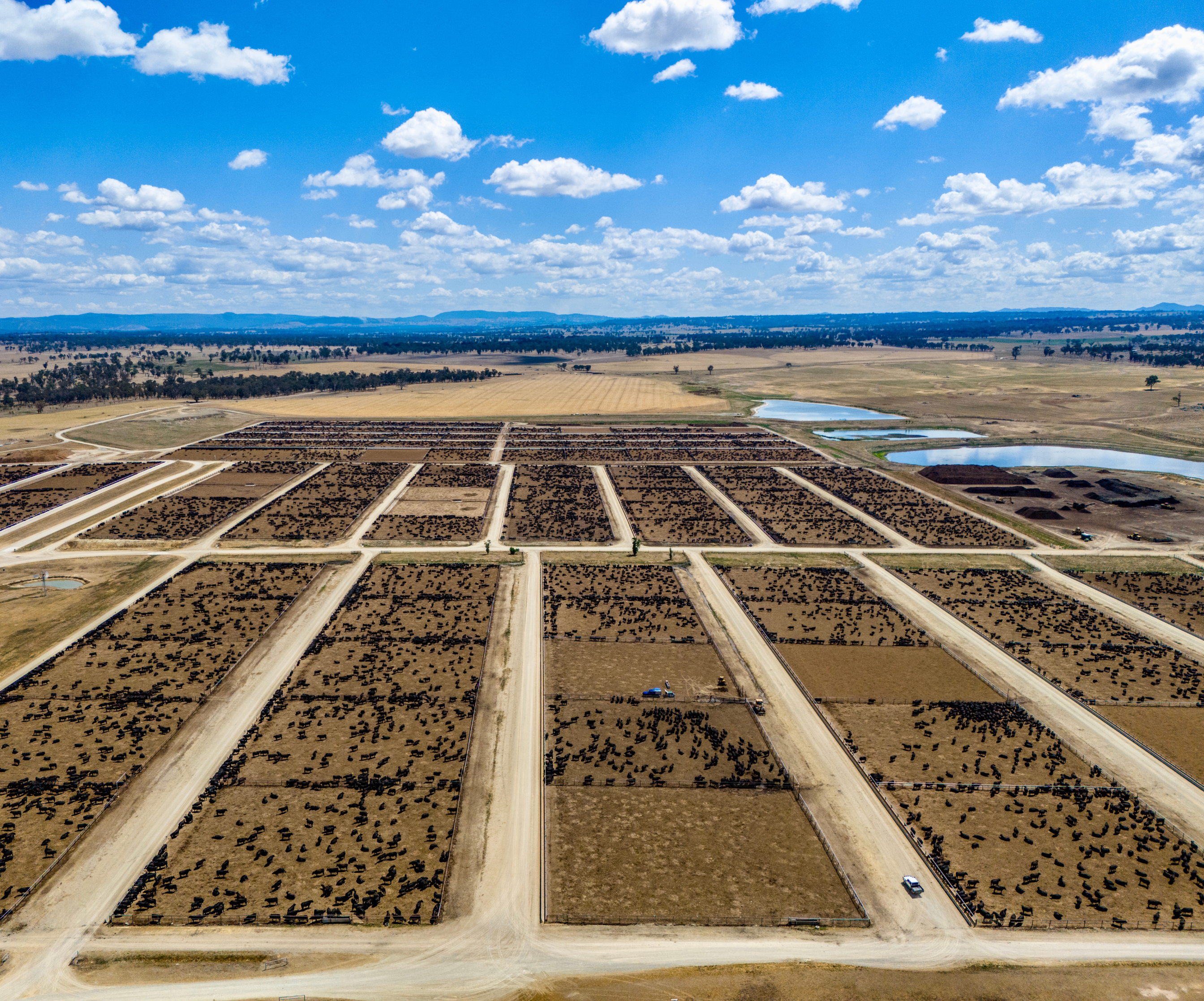 Ruminati | Unpacking Emissions Efficiency: A Farmer-to-Expert ...