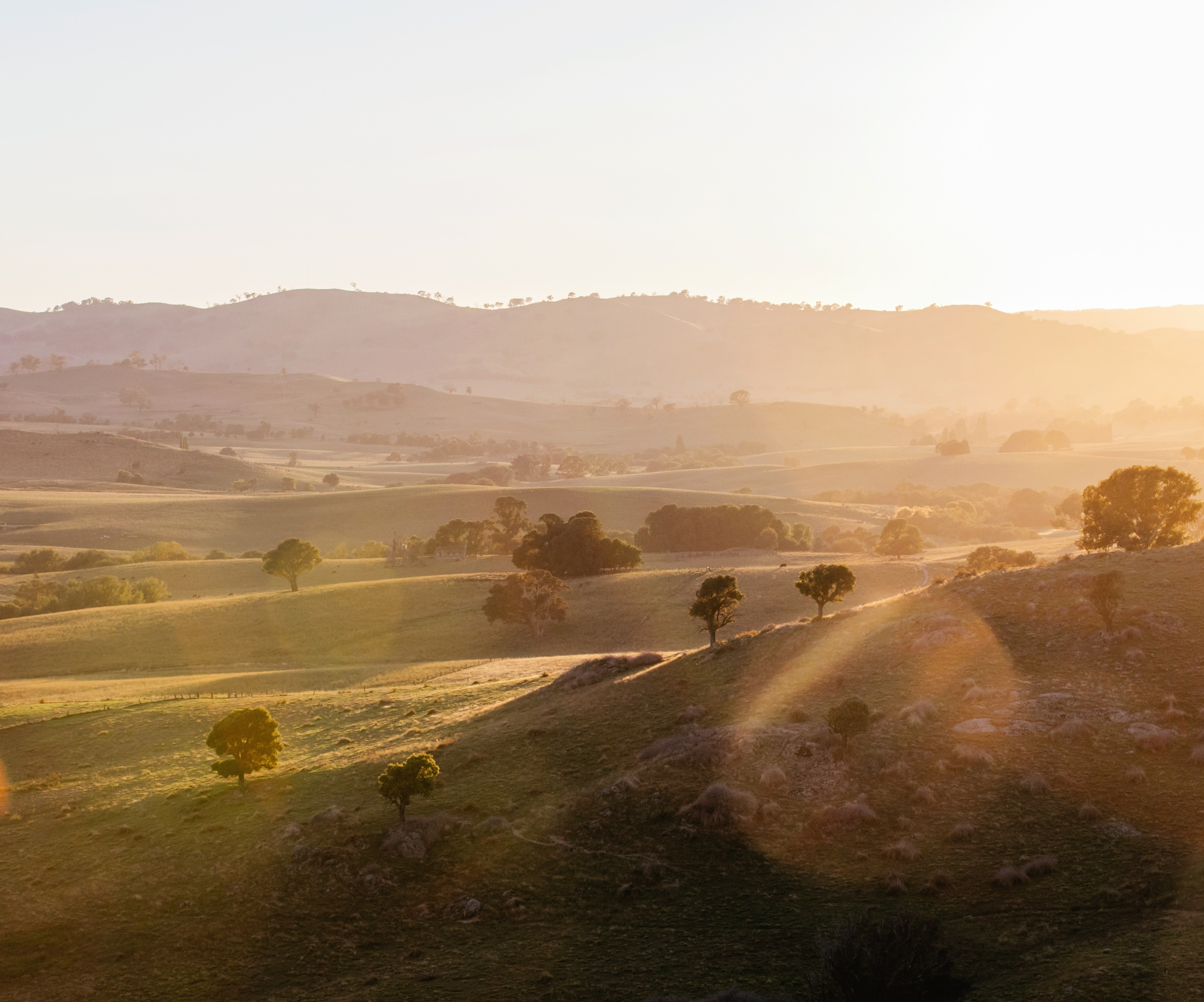 Ruminati | Beyond the Baseline: Making Sense of Emissions Reporting ...