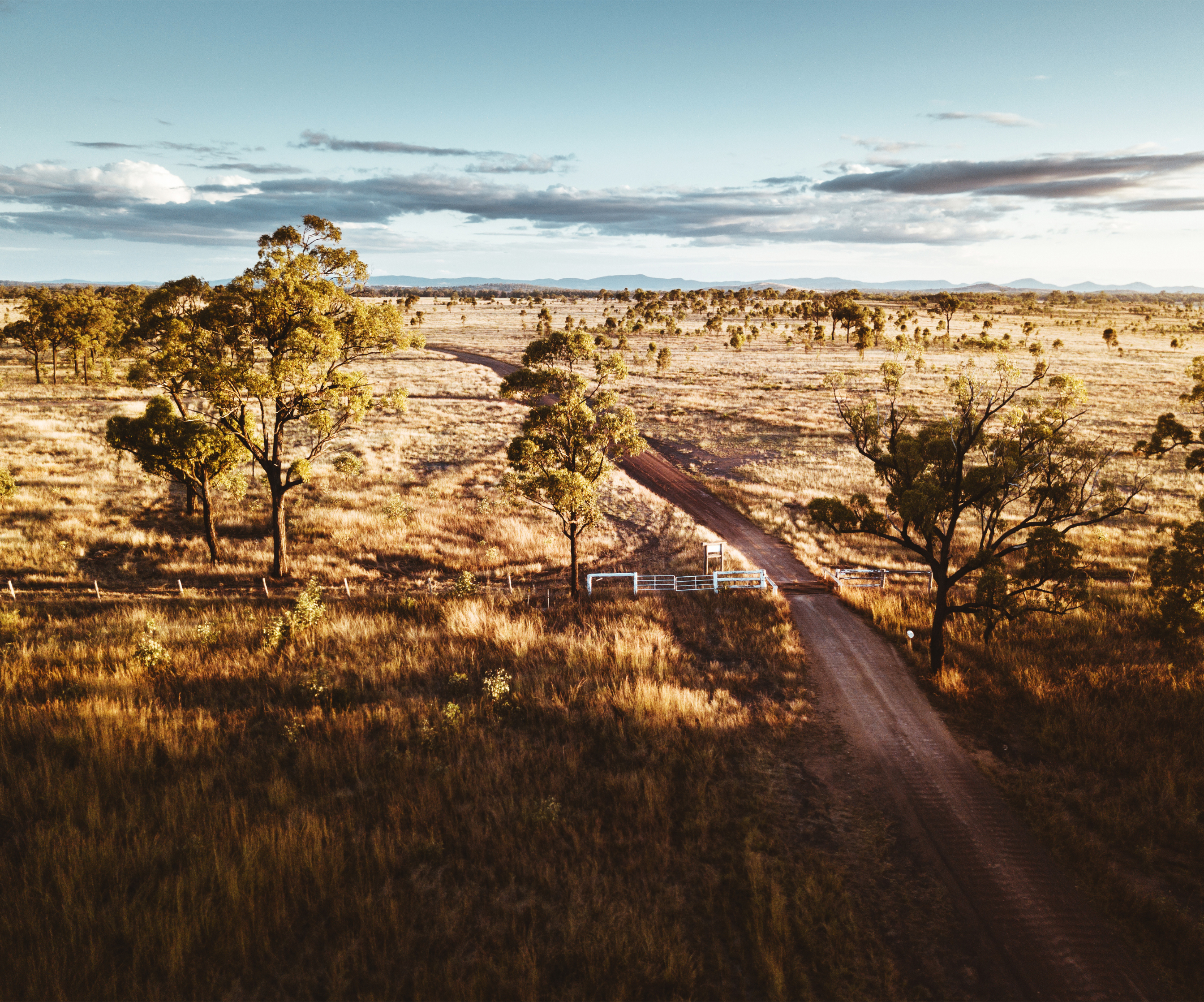 Ruminati | Unpacking Emissions Efficiency: A Farmer-to-Expert ...