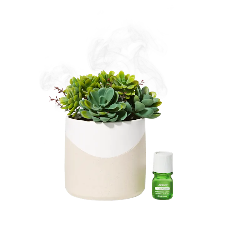 Our Products | Lifelines