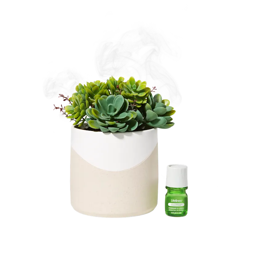 Our Products | Lifelines