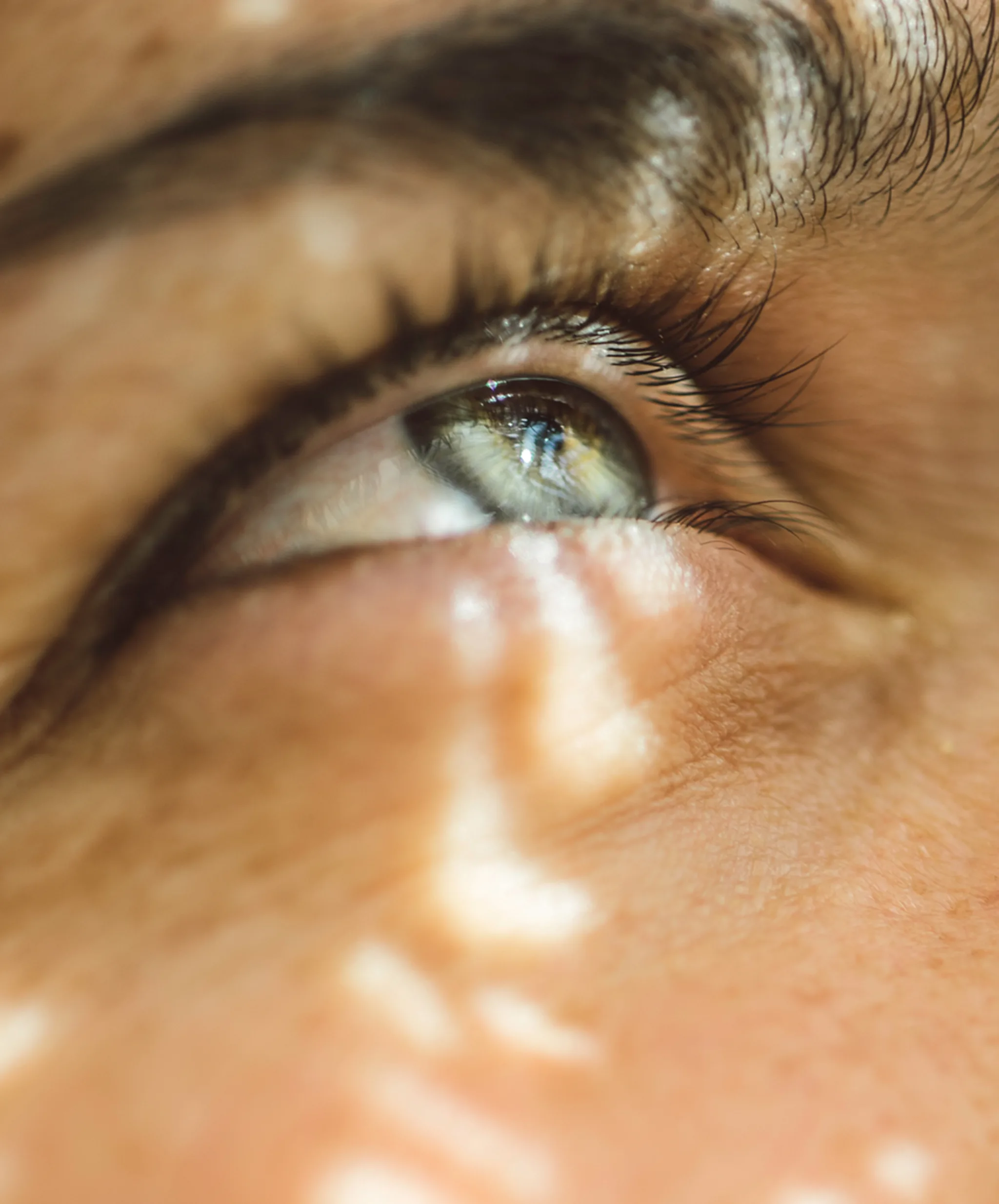 Sensory Immersion | Lifelines