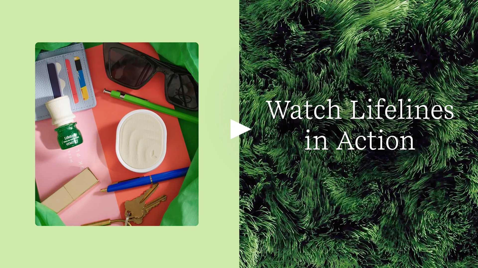 Our Story | Lifelines