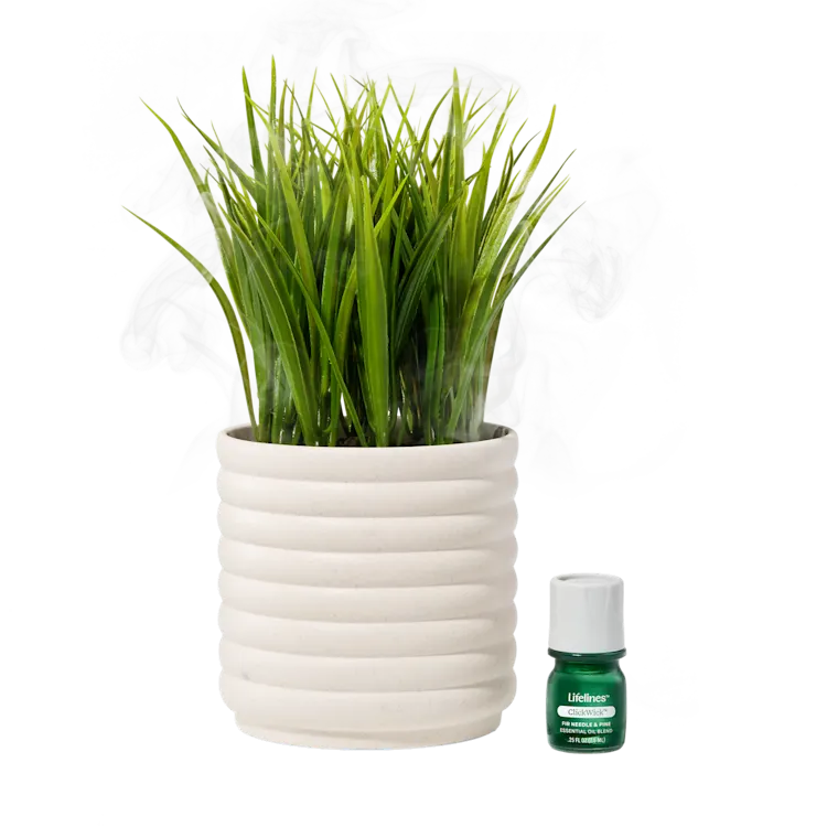 Our Products | Lifelines