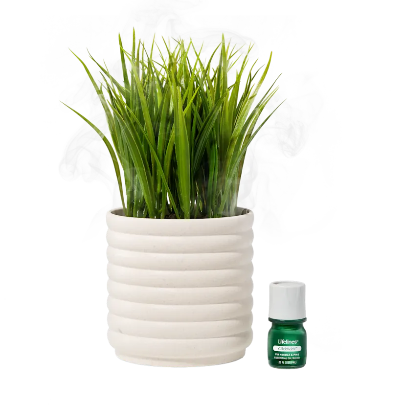 Our Products | Lifelines