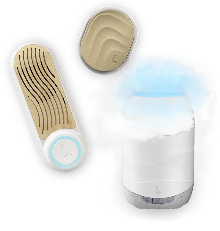 Diffusers | Lifelines