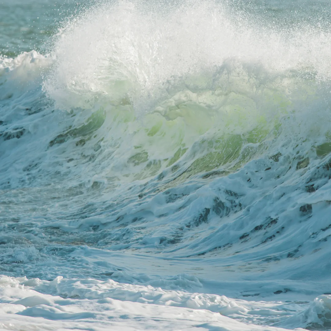 Sensory Immersion | Lifelines