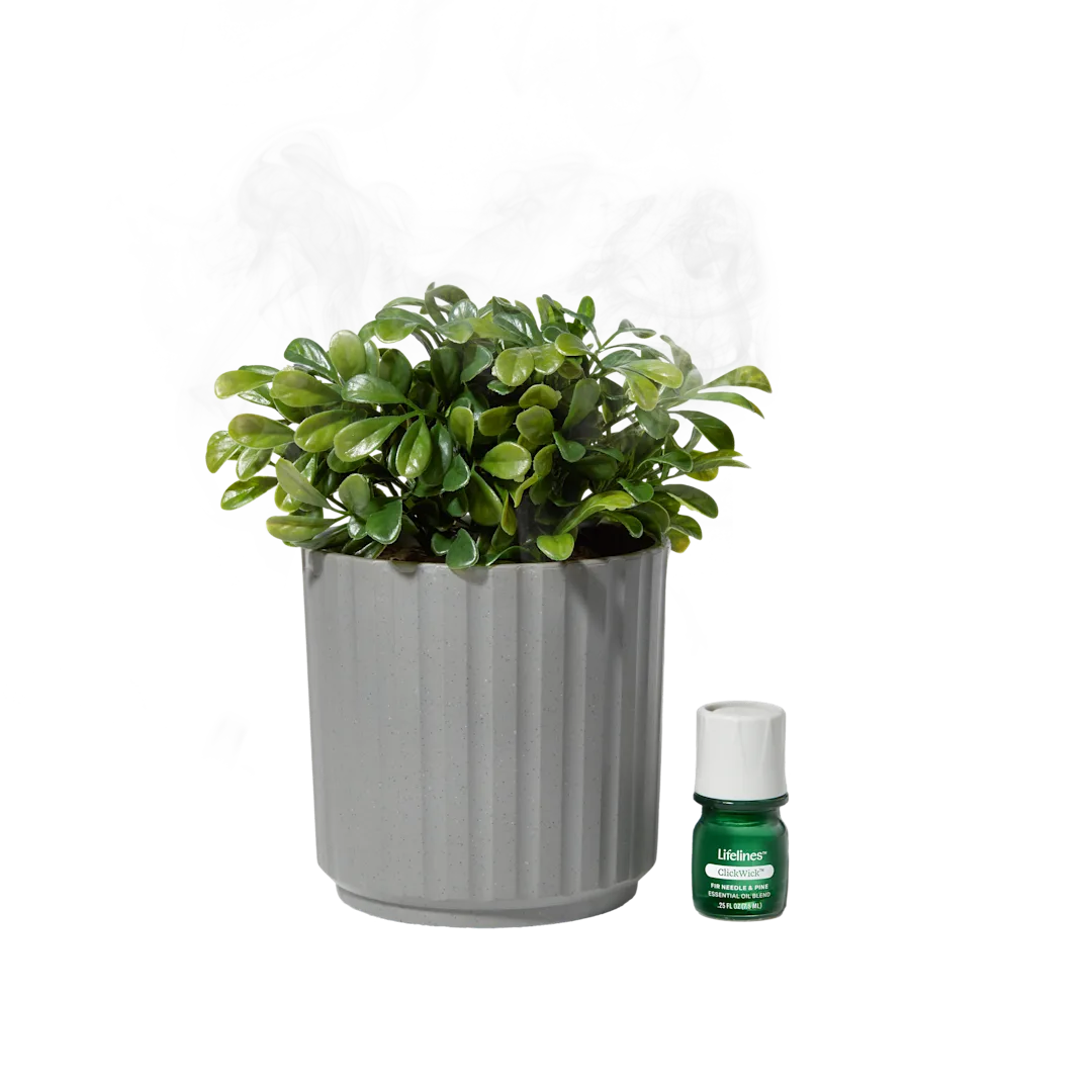 Our Products | Lifelines