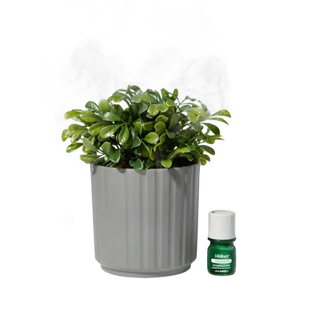 Our Products | Lifelines