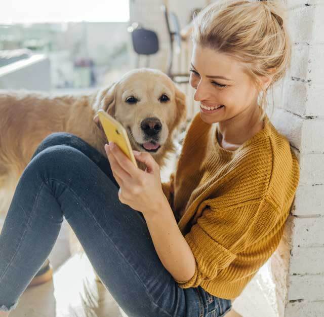 SelectQuote FAQs: Life, Auto, Home, and Medicare Insurance