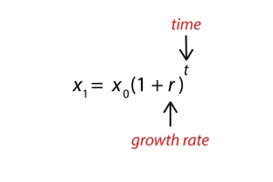 What Exponential Growth Really Looks Like (And How to Hit It)