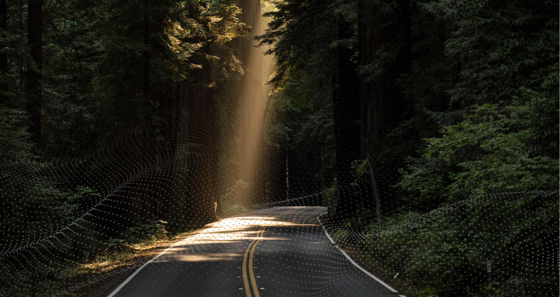 NDT Global - NDT Global