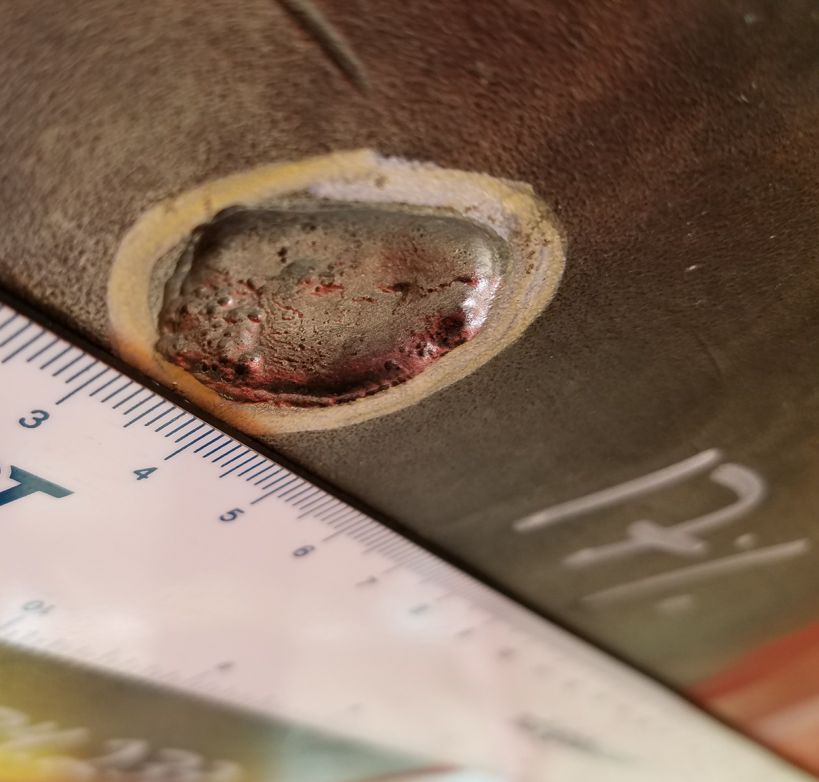 Pipeline Integrity Assessments | NDT Global