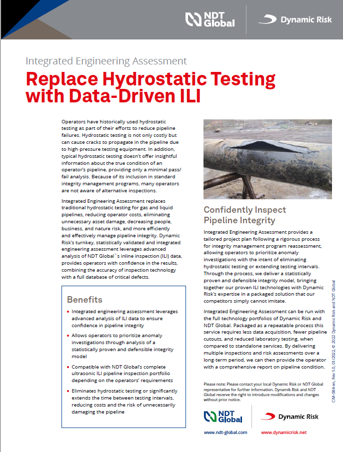 Integrated Engineering Assessment Flyer | NDT Global