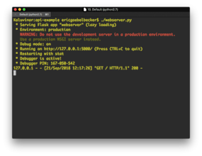 Python Feature Flag Guide