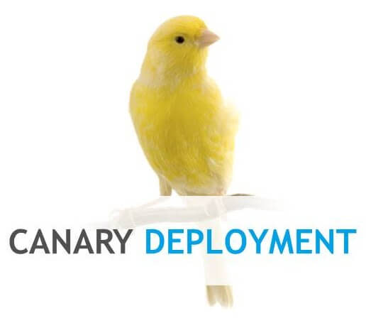Using Canary Releases and Early Life Support to improve Production Releases