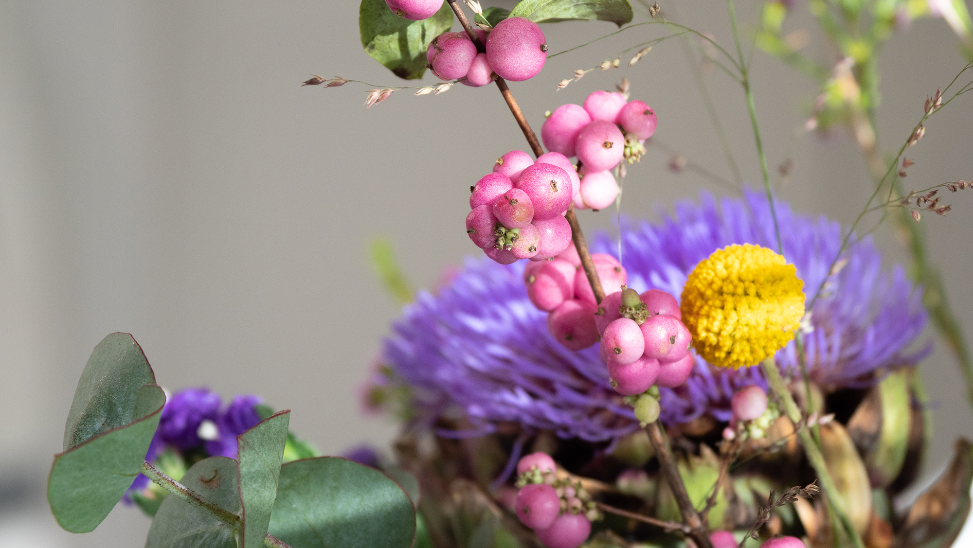 Things to do while we clean | Freska