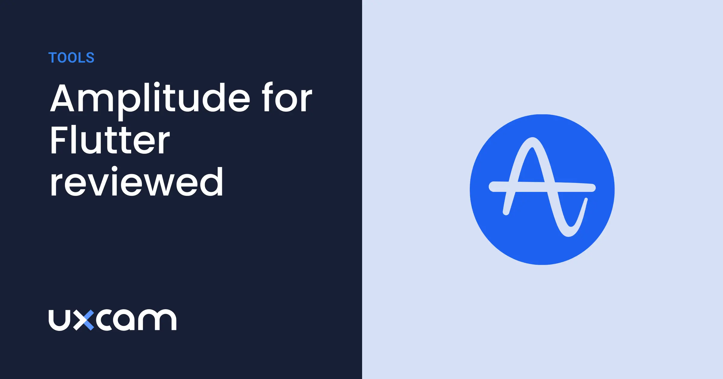 Amplitude Flutter Setup, Review and Best Alternative