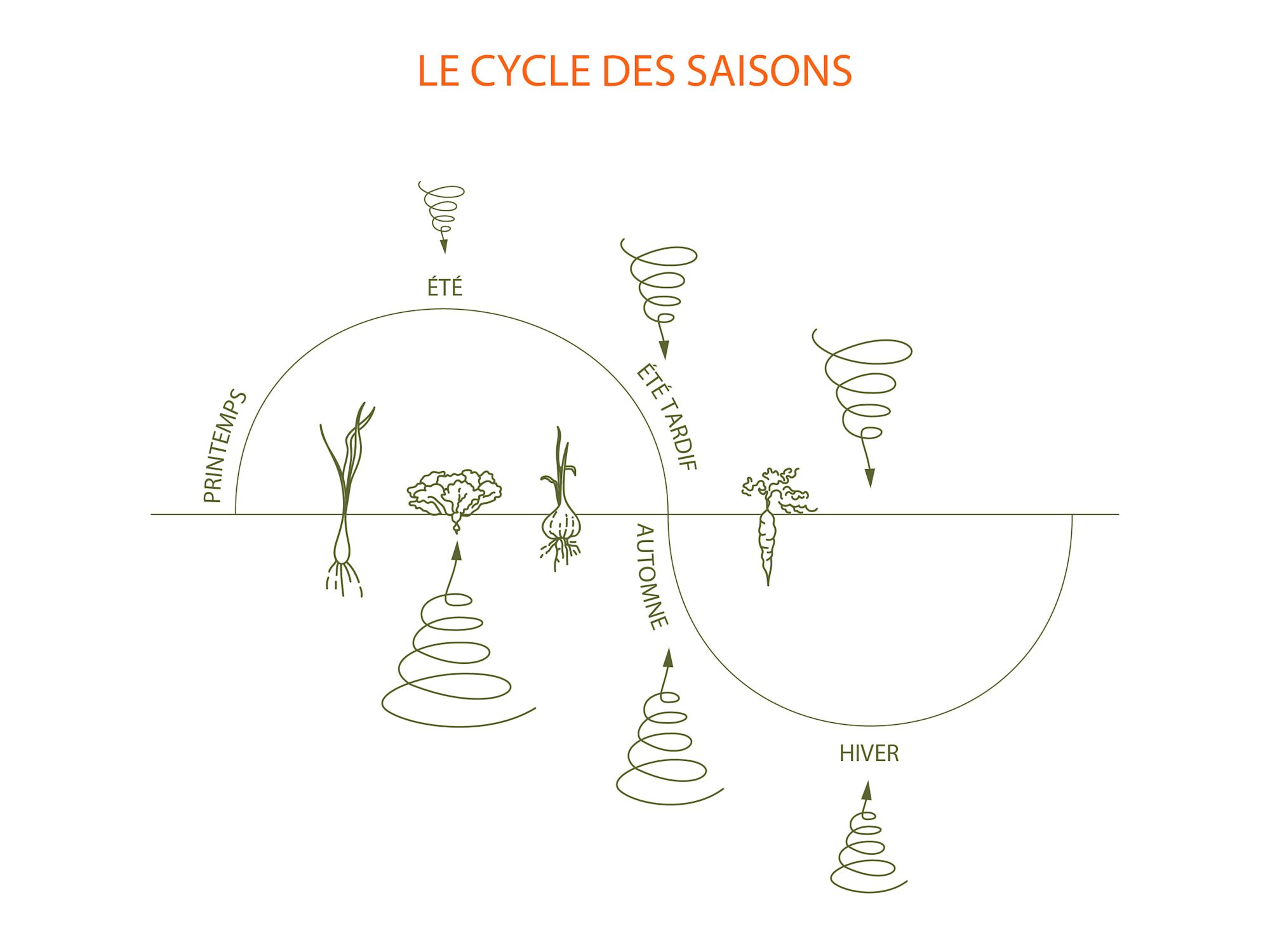 Le cycle des saisons! | Phytaroma