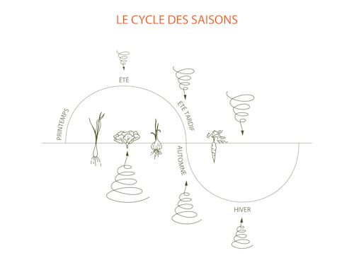 Le cycle des saisons! | Phytaroma