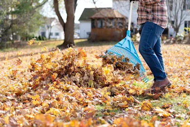 Taskrabbit Chicago - Furniture Assembly, Moving, & More