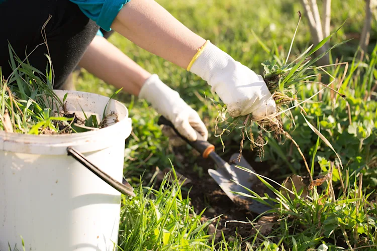 Taskrabbit Cleveland, OH - Handyman, Moving & More