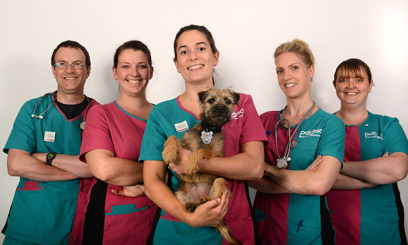 PDSA People s Postcode Lottery Charity pdsa-people-s-postcode-lottery-charity