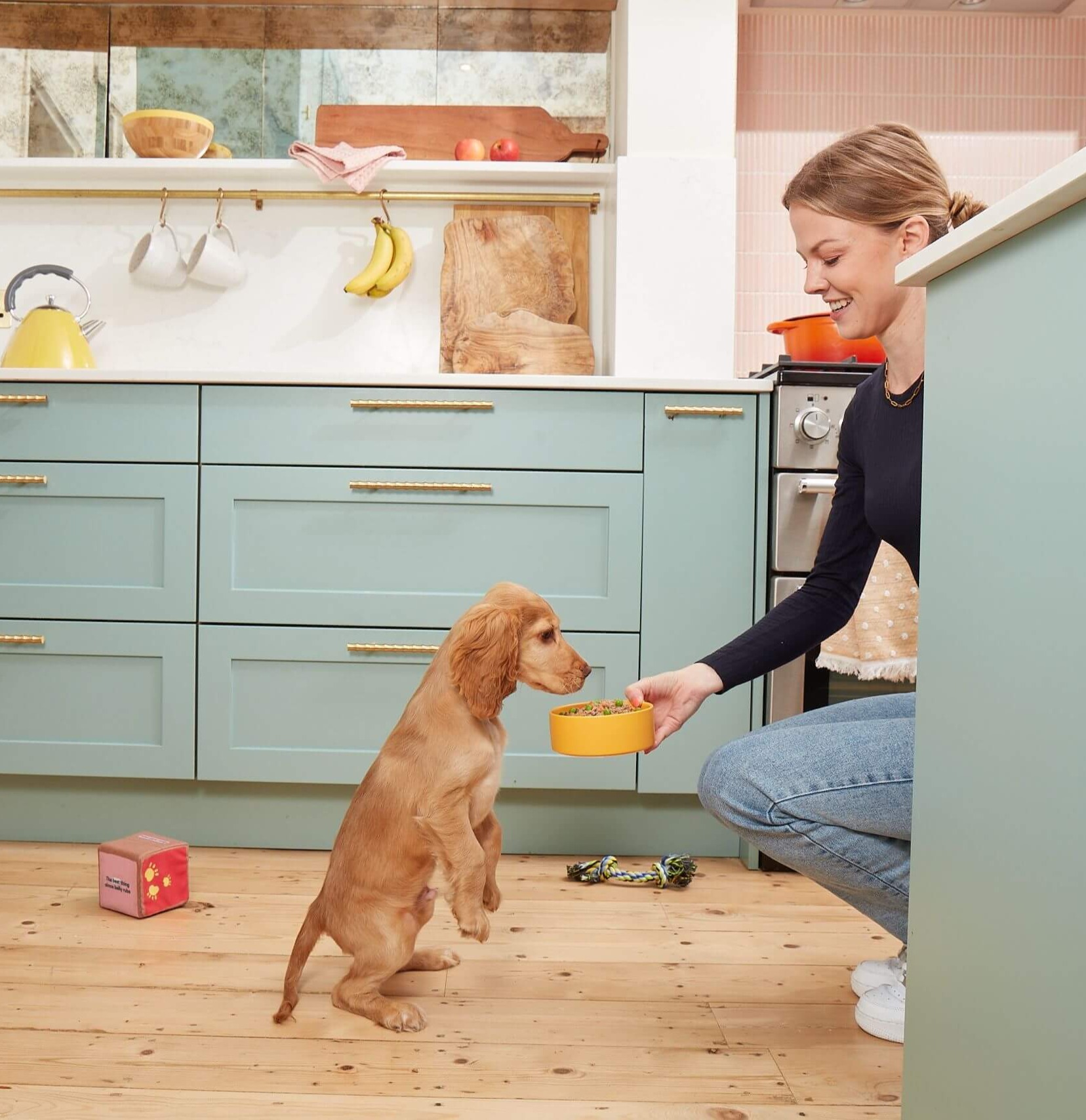 How Much To Feed A Dog Home Cooked Food