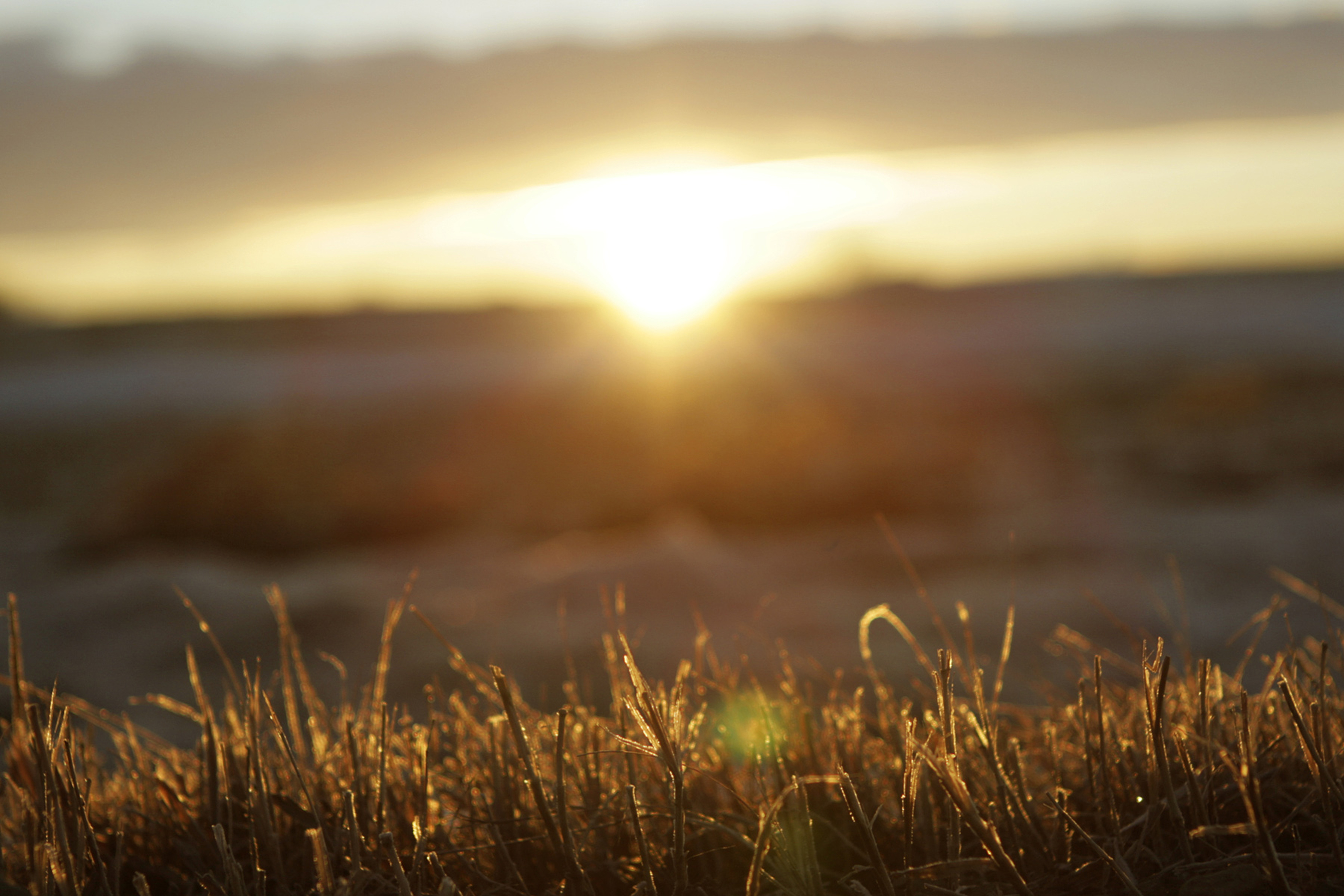 The light of God's promise