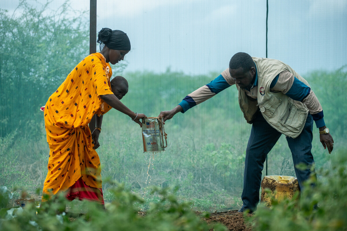 How debt feeds food insecurity - and what can be done