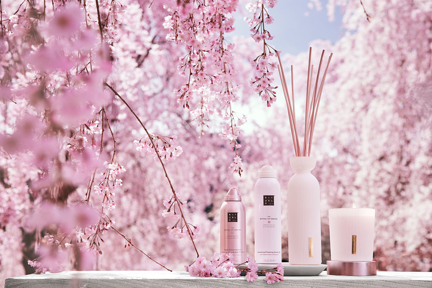 Obchody a služby | Avion Shopping Park Bratislava