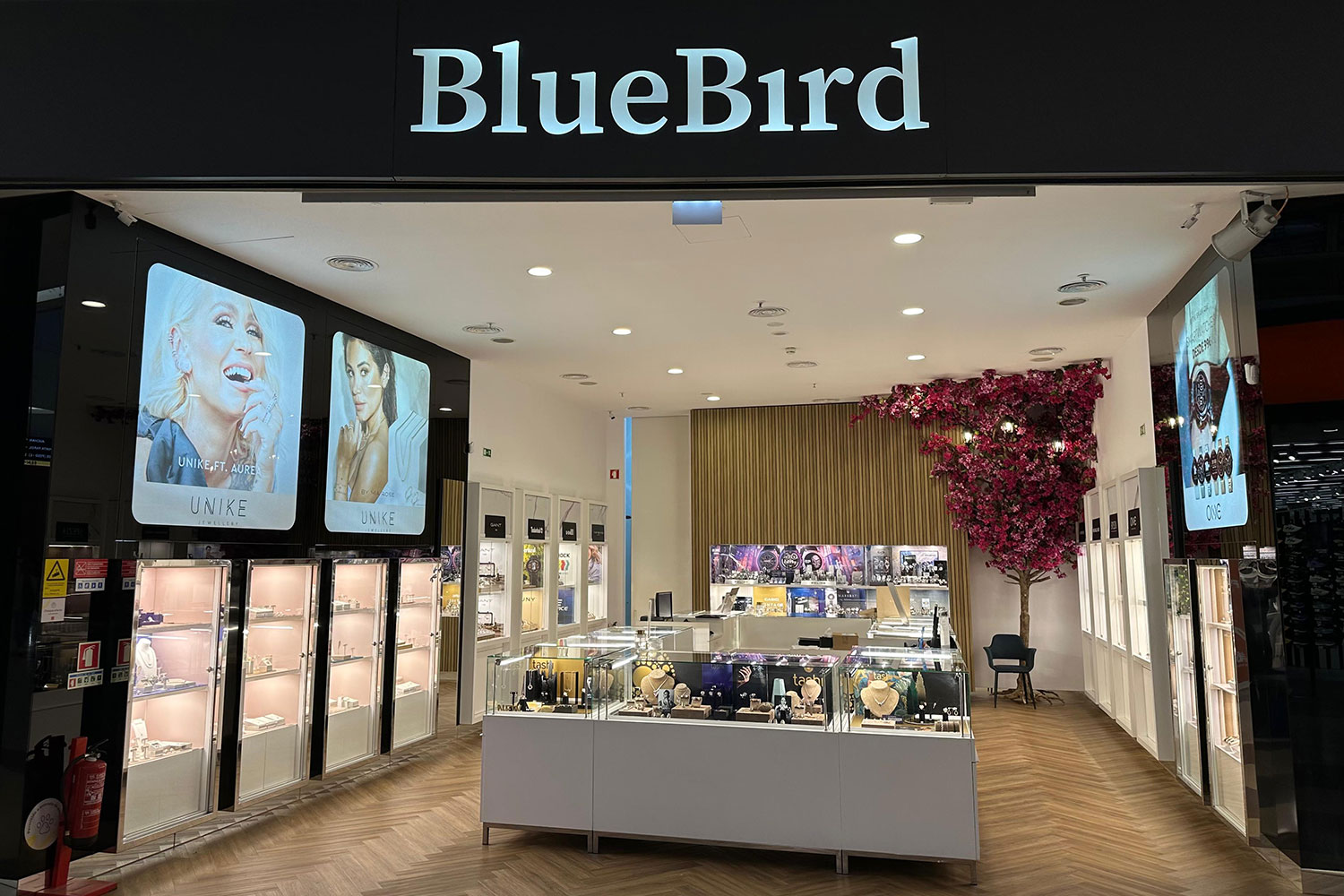 BlueBird | MAR Shopping Matosinhos