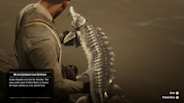 Legendary Longnose Gar Location - Legendary Fish - Red Dead Redemption ...