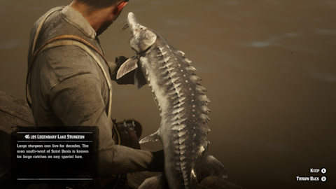 Legendary Lake Sturgeon Location - Legendary Fish - Red Dead Redemption ...