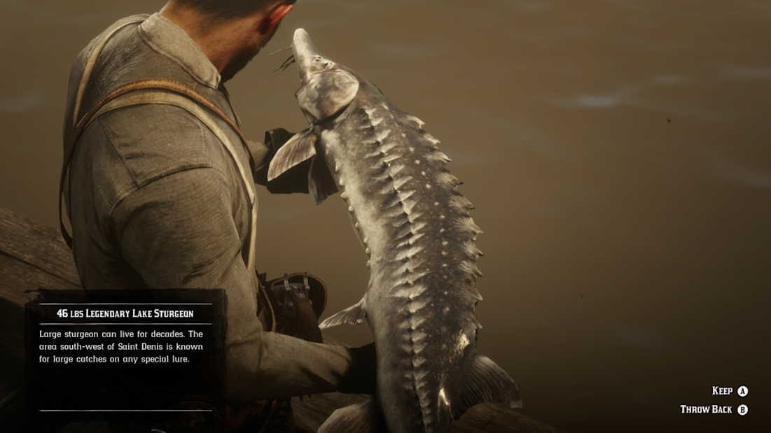 Legendary Bluegill Location - Legendary Fish - Red Dead Redemption 2 ...