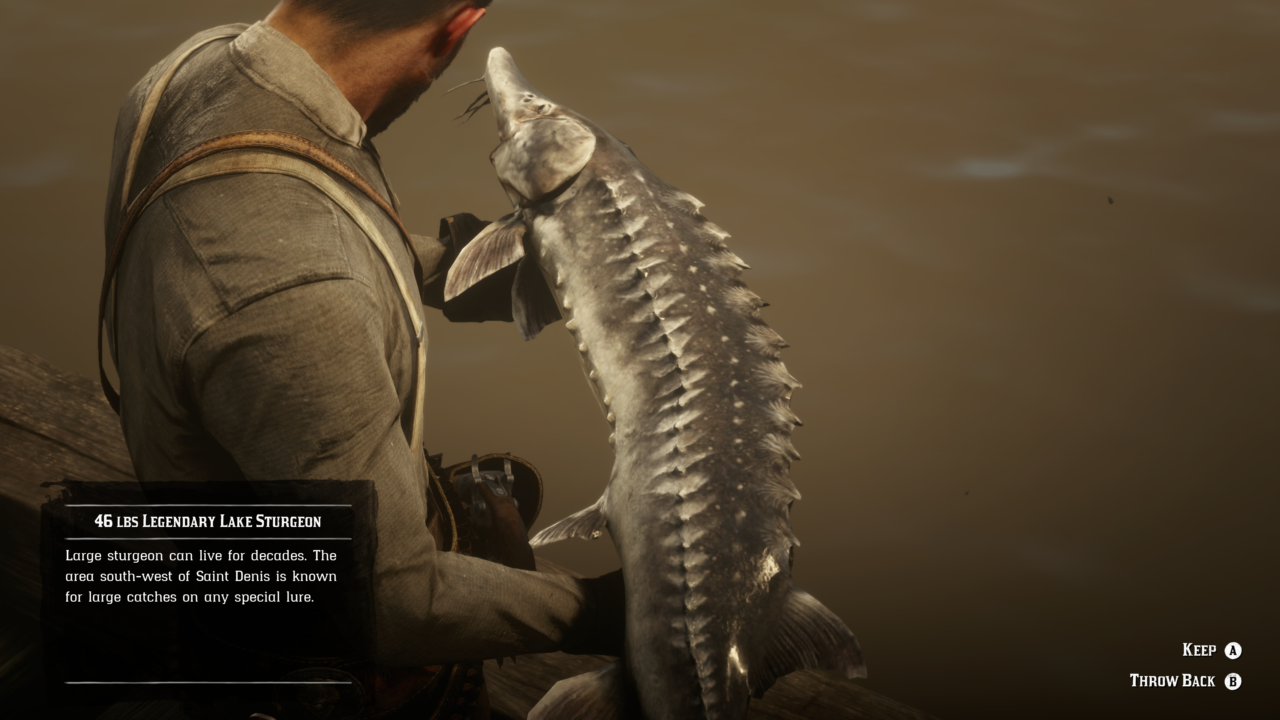 Legendary Muskie Location - Legendary Fish - Red Dead Redemption 2 Map ...