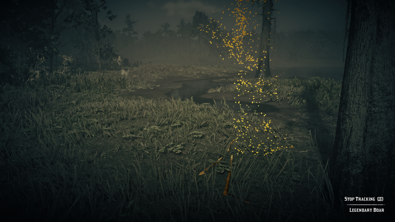 Legendary Boar First Clue Location - Legendary Boar - Red Dead ...