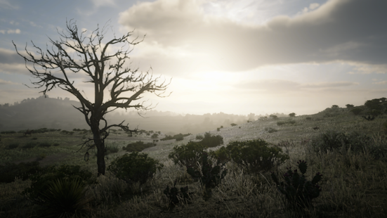 Lonnie's Shack Location - Dreamcatcher - Red Dead Redemption 2 Map ...