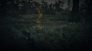 Legendary Alligator Location - Legendary Animal - Red Dead Redemption 2 ...