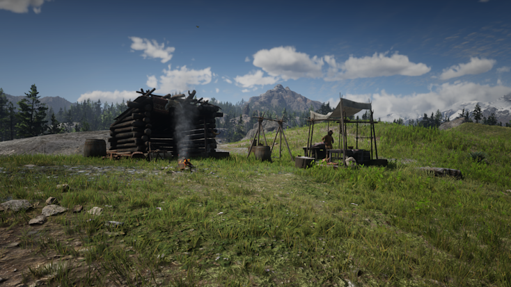 Tall Trees Location - Trapper - Red Dead Redemption 2 Map - RedDead.gg